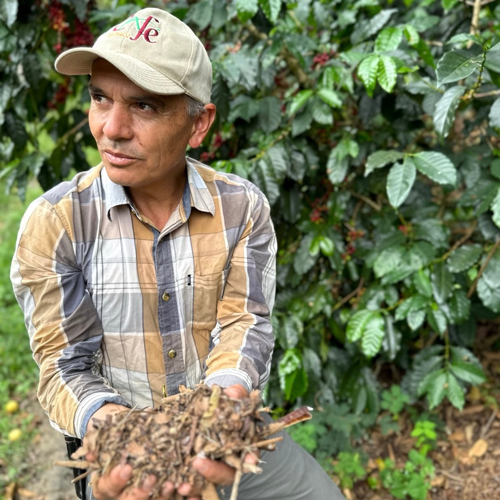 Origin Trip Report: Colombia, June 2023 – PT's Coffee