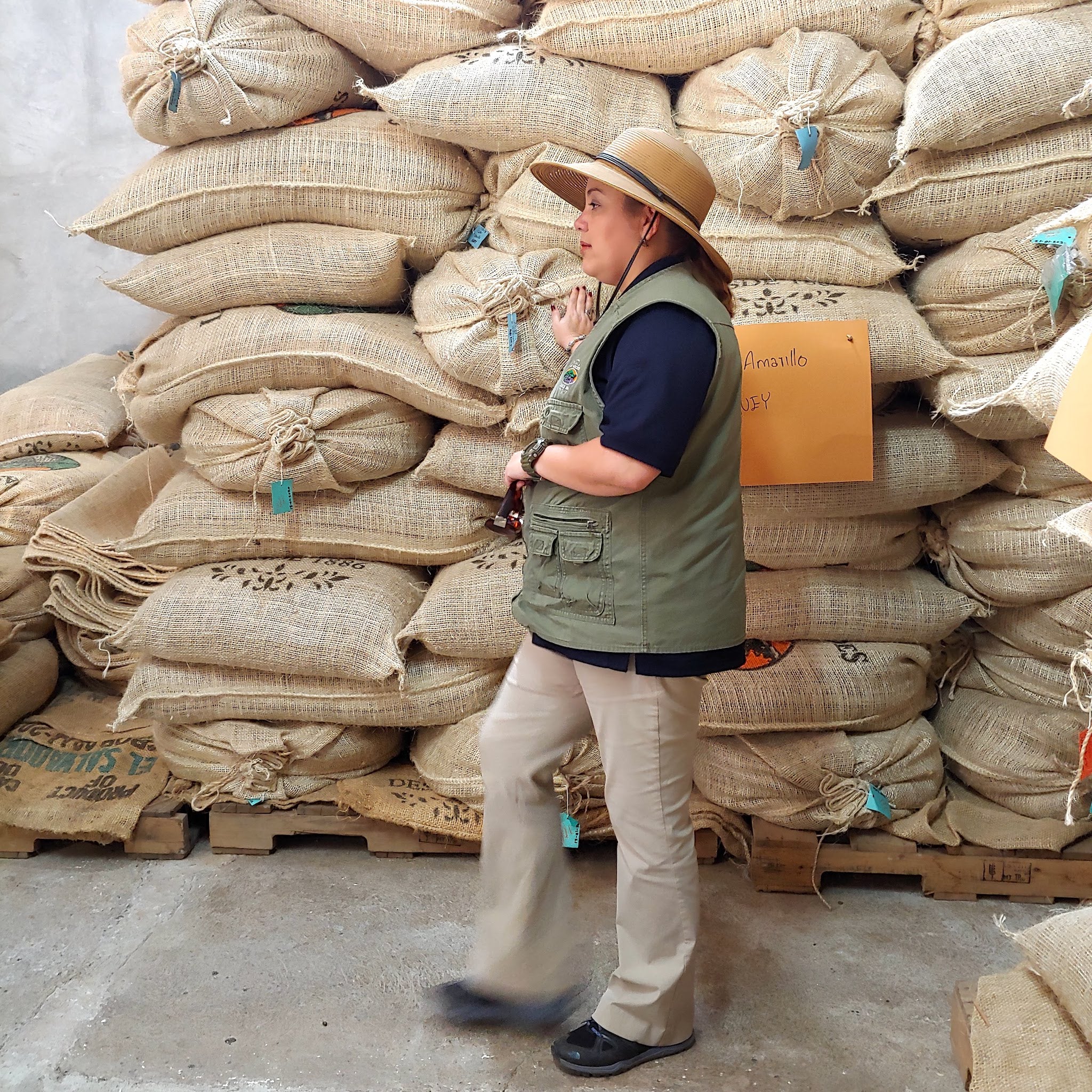 El Salvador | Finca Las Mercedes La Avila Graduation Lot – PT's Coffee